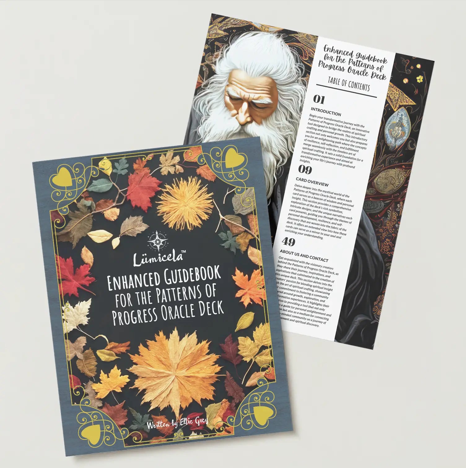 Patterns of Progress Oracle Deck’s Enhanced Guidebook – Lümicela.com